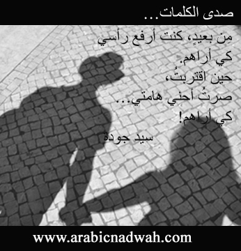 سيد جودة - صدى الكلمات ECHO OF THE WORDS - SAYED GOUDA